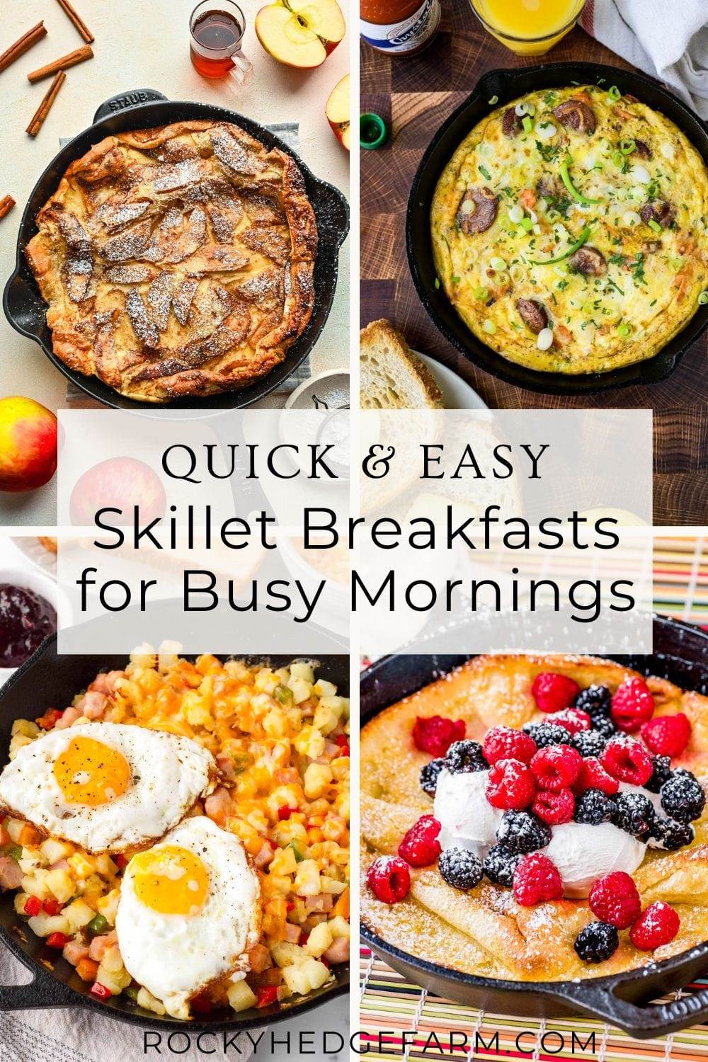 18+ Easy Cast Iron Skillet Breakfast Recipe Ideas to Kickstart Your Day ...