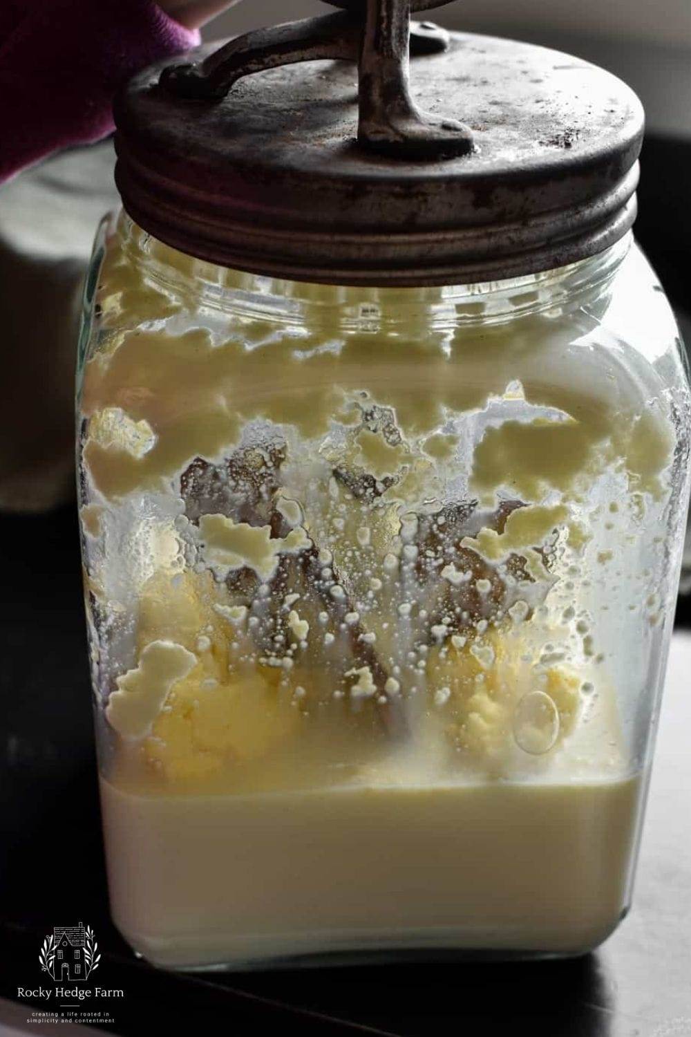 How to Make Homemade Butter From Scratch in a Churn - Rocky Hedge Farm