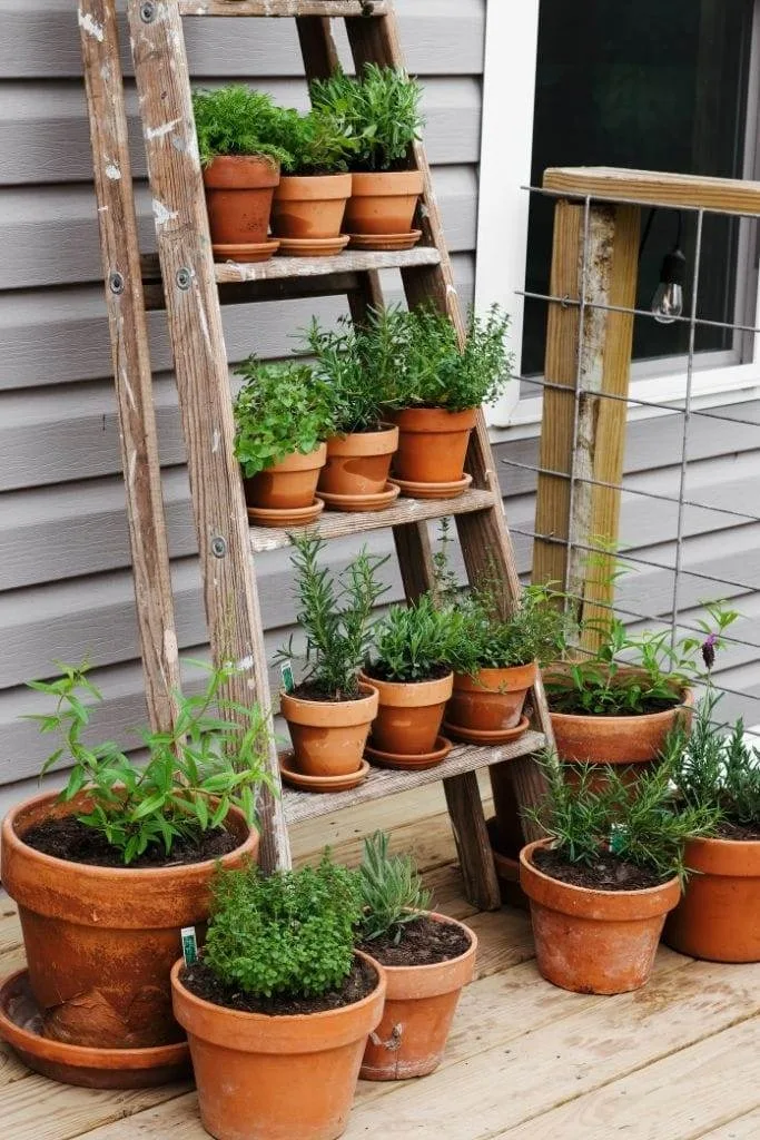 Vertical herb garden store