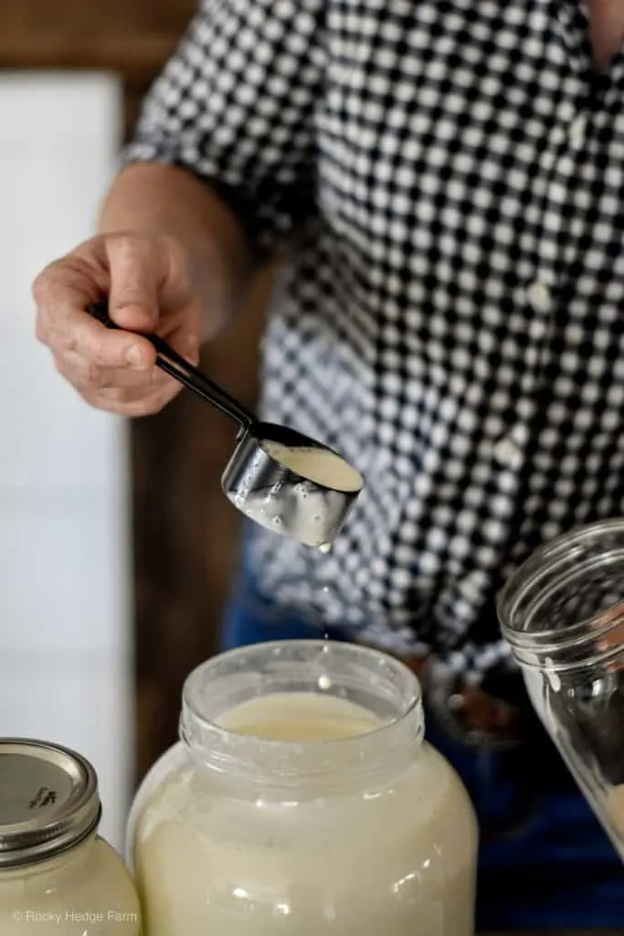How to Separate Cream from Milk - Rocky Hedge Farm