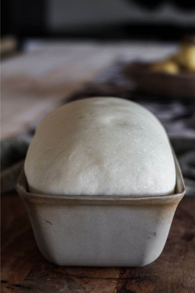 Homemade Farmhouse White Bread Recipe (Easy Sandwich Loaf) - Rocky ...