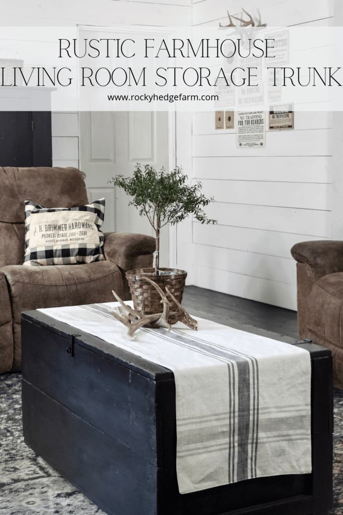 Farmhouse Blanket Storage Trunk - Rocky Hedge Farm