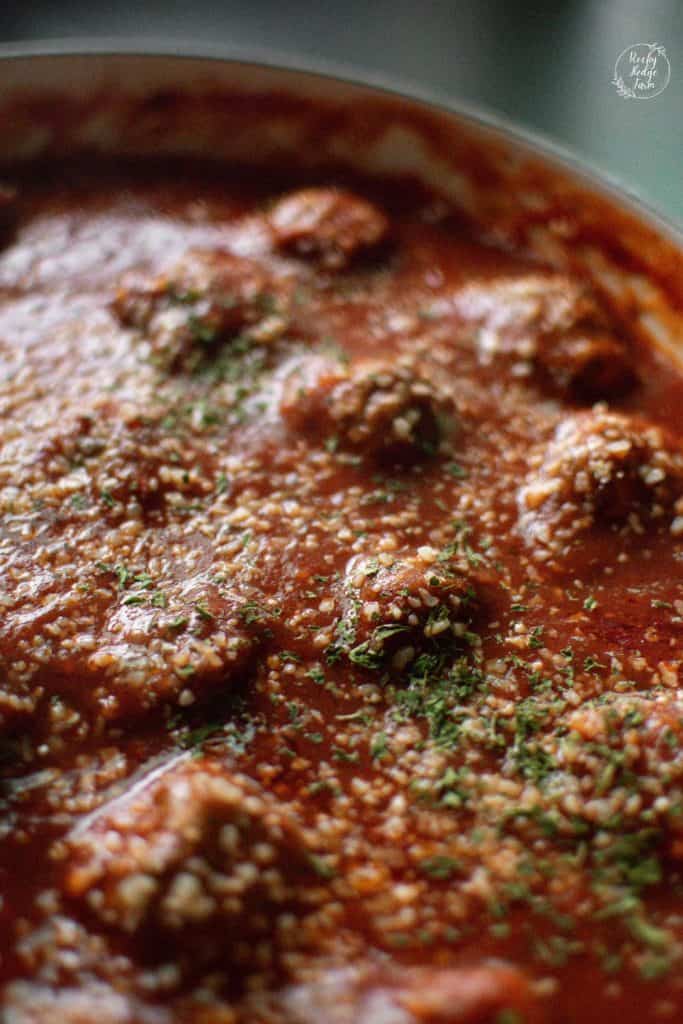 Easy Homemade No Meat Spaghetti Sauce - Rocky Hedge Farm